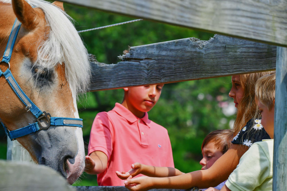 Preserve Equestrian Training Stables - Rhode Island